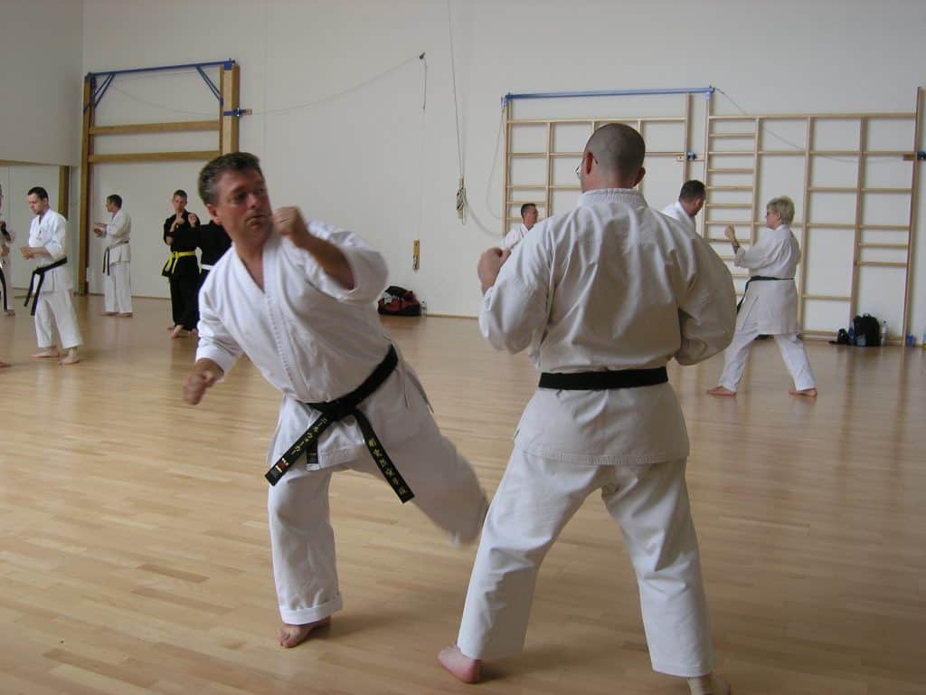 what-does-technical-excellence-look-like-basingstoke-martial-arts